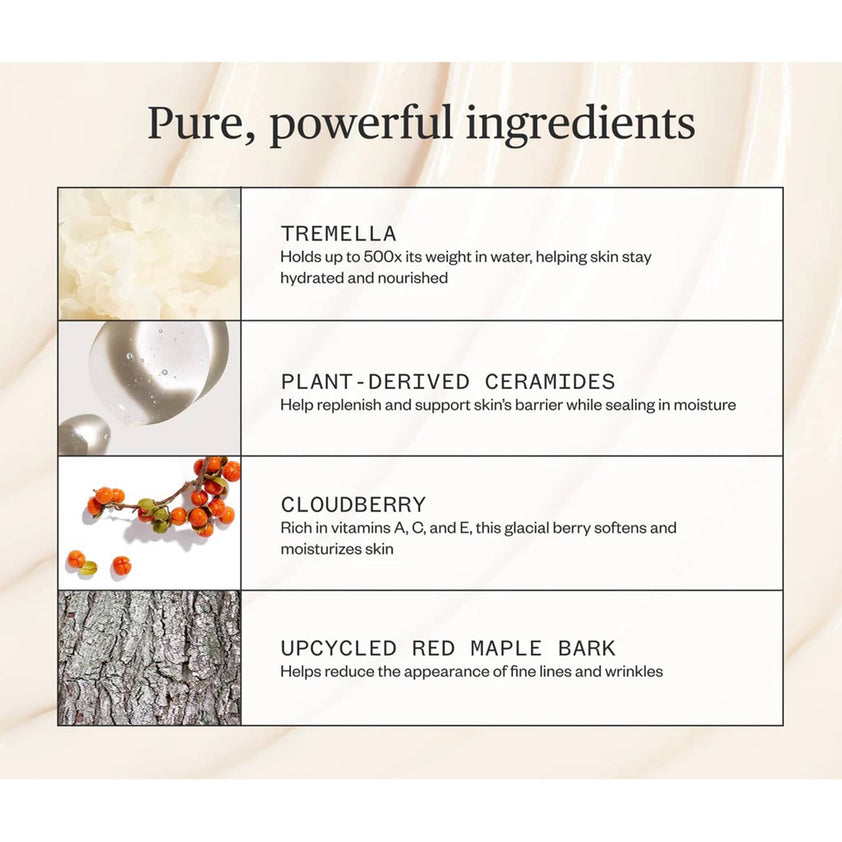 Ursa Major Alpine Rich Cream – Annie's Blue Ribbon General Store